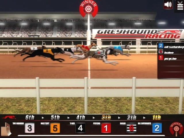 DOG RACE NIGHT online spiel | POMU Spiele